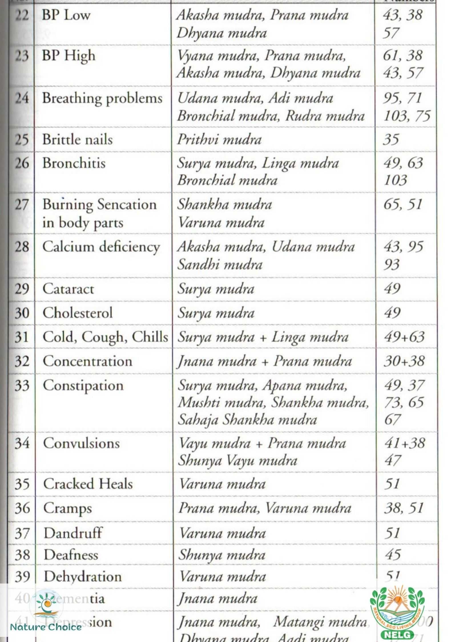 Art and Science of Mudras Book - Nature Choice Enterprises