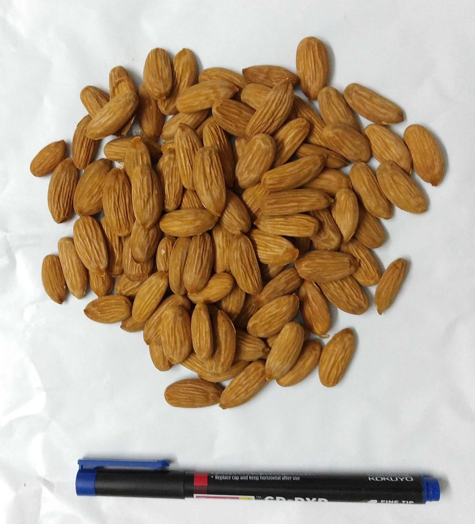 Indian Mamra Badam / Almond Premium Variety - Nature Choice Enterprises
