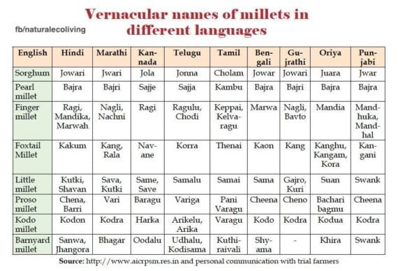 Free Shipping Small Combo of Siridhanya - Siri Millets